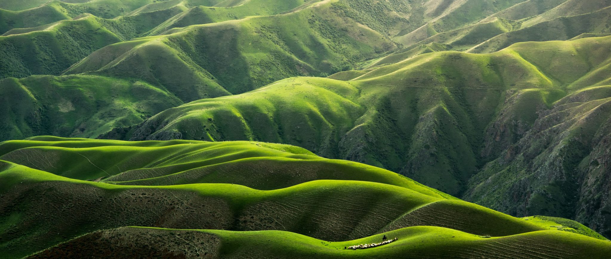 Le Groupe - Groupe Premium